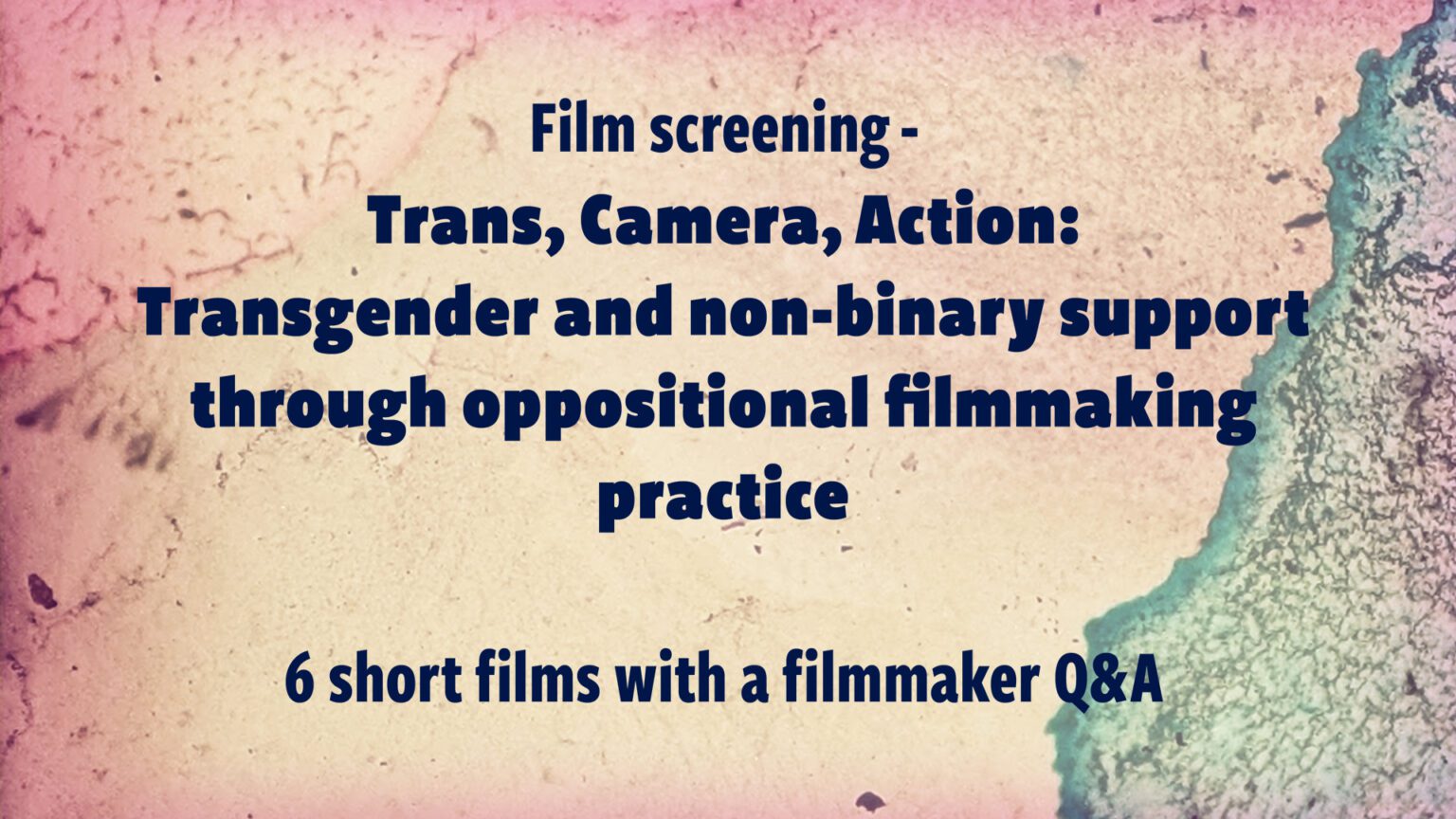 Trans, Camera, Action: Transgender and non-binary support through ...